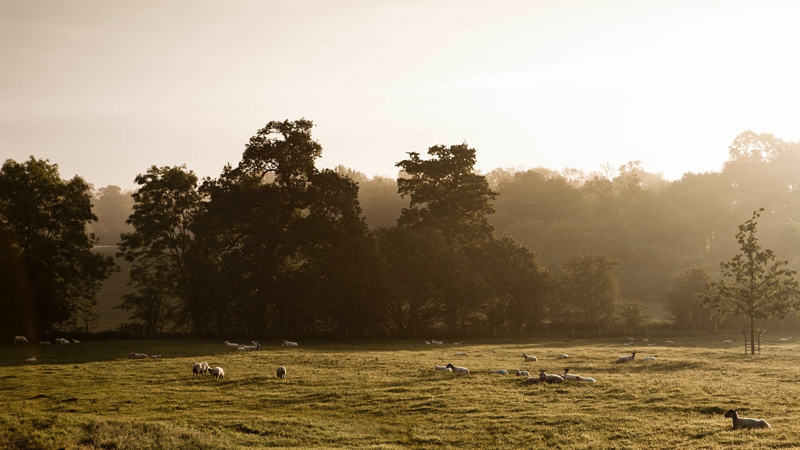 How To Do The Cotswolds This Winter | The Journal | MR PORTER