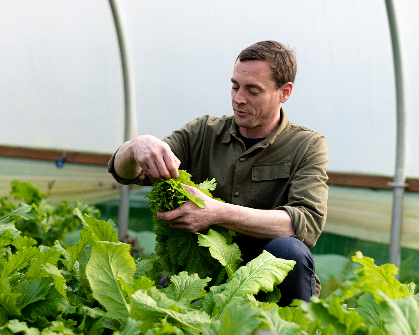 Lifestyle: How To Grow A Luxurious Yet Sustainable Restaurant From The ...