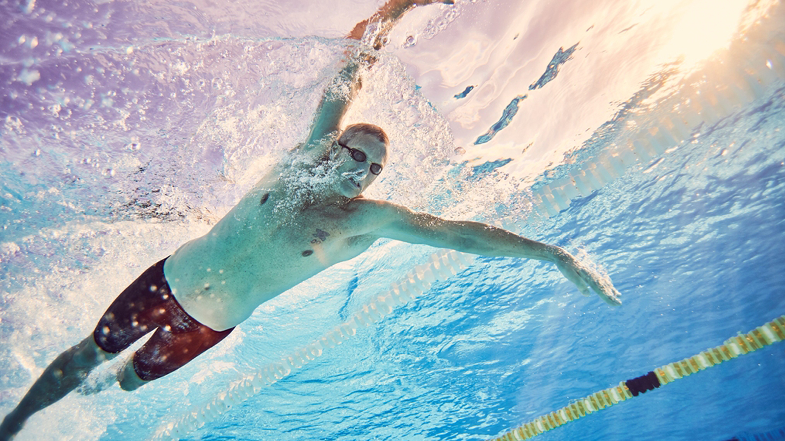 What A World Champion Can Teach You About Swimming | The Journal | MR ...