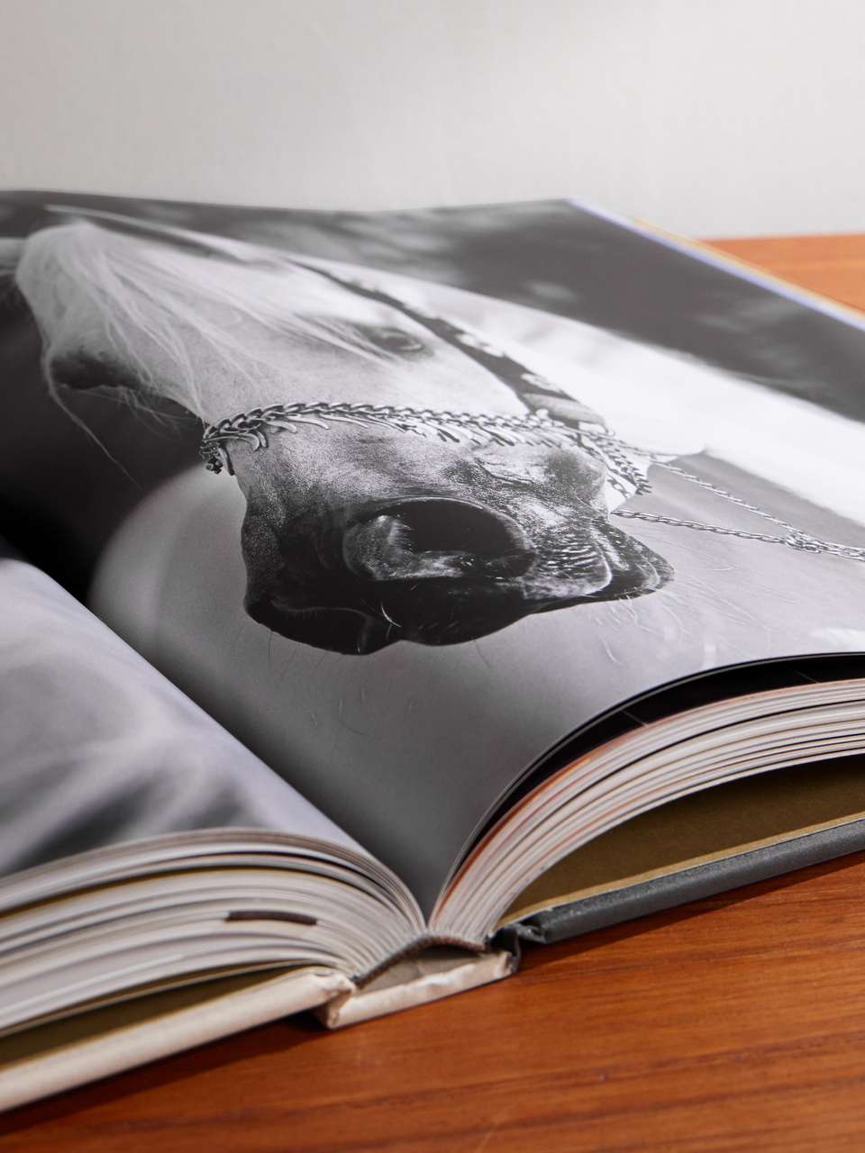 ASSOULINE Horses From Saudi Arabia Hardcover Book for Men | MR PORTER