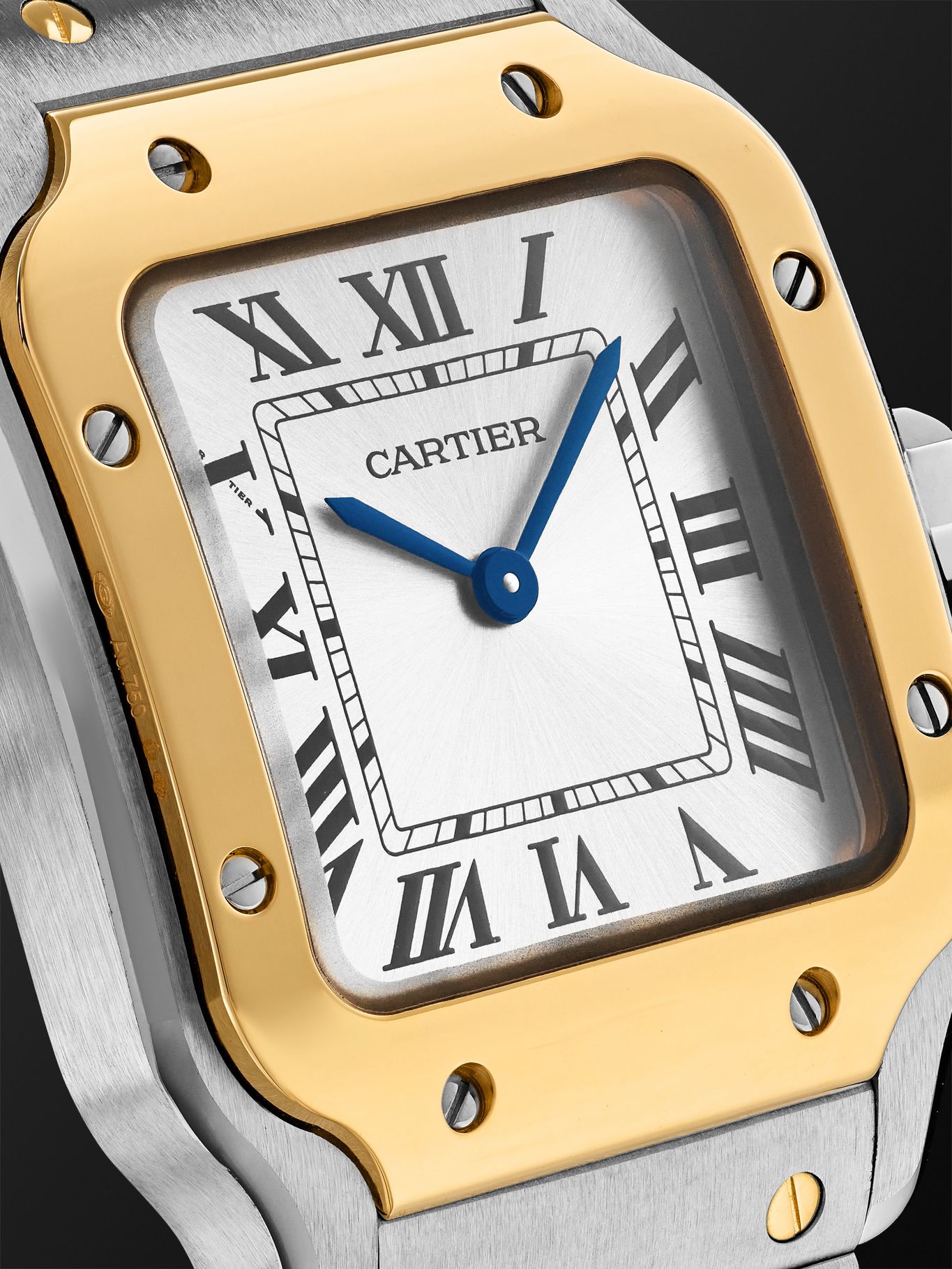 CARTIER Santos de Cartier Small 34.5mm Interchangeable Stainless Steel ...