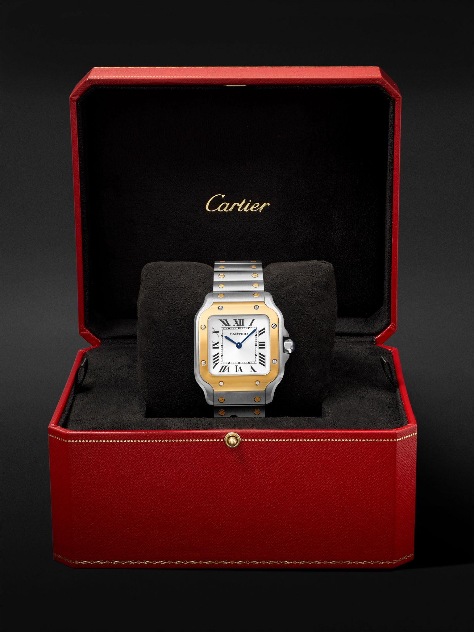 CARTIER Santos de Cartier Small 34.5mm Interchangeable Stainless Steel ...