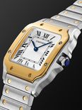 CARTIER Santos de Cartier Small 34.5mm Interchangeable Stainless Steel ...